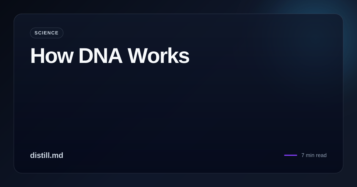 How DNA Works | distill.md